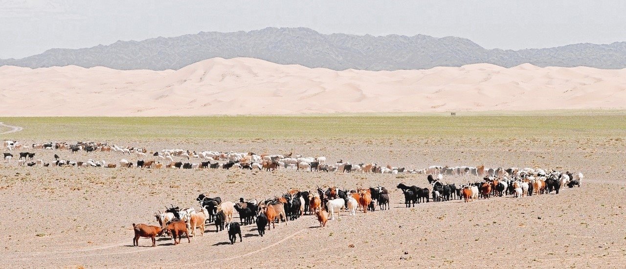 Across the Gobi Desert Landscapes ,untouched remoteness – The Wanders