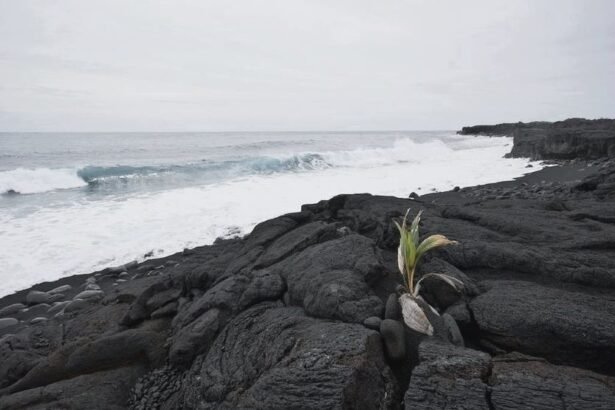 10 Most Exotic Black Sand Beaches in the World – The wanders