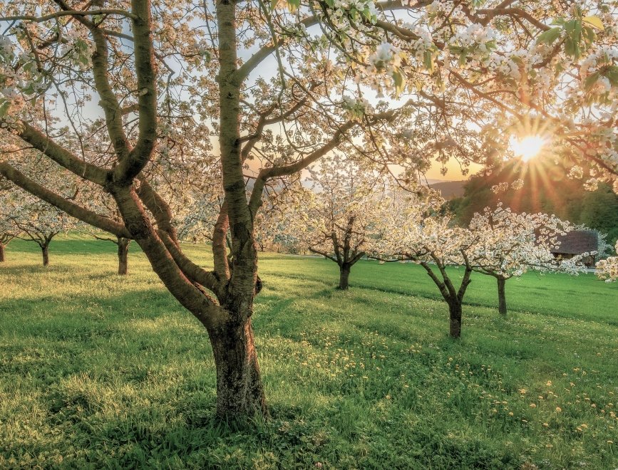 10 European Spring Retreat Destinations: Bloom, Explore, and Unwind ...