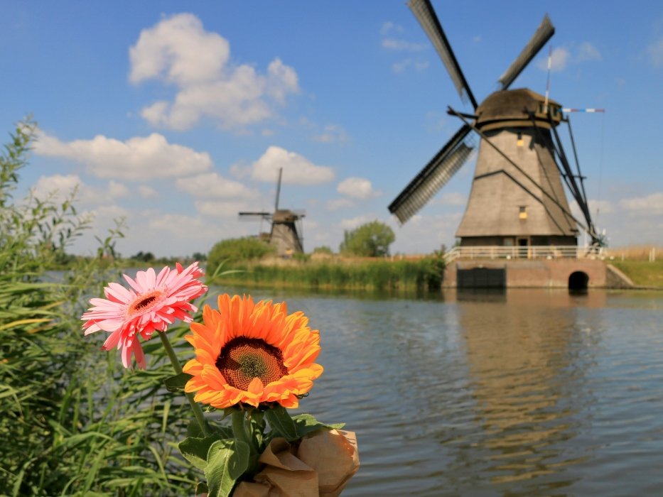 Exploring the iconic windmills of the Netherlands – The Wanders