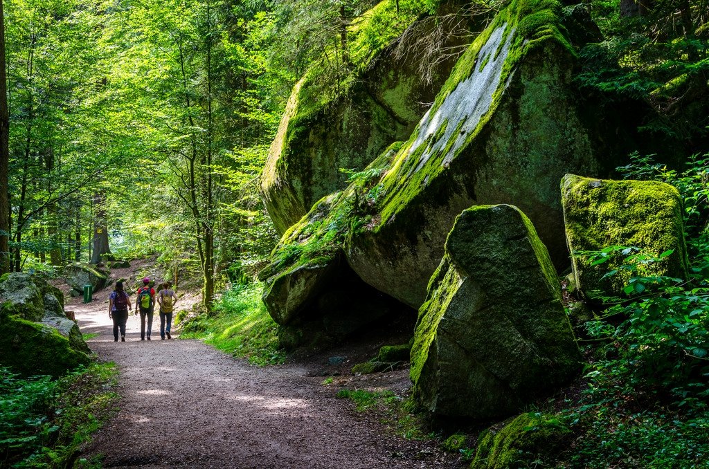 Black Forest Travel Guide: Ultimate Destination Overview – The Wanders