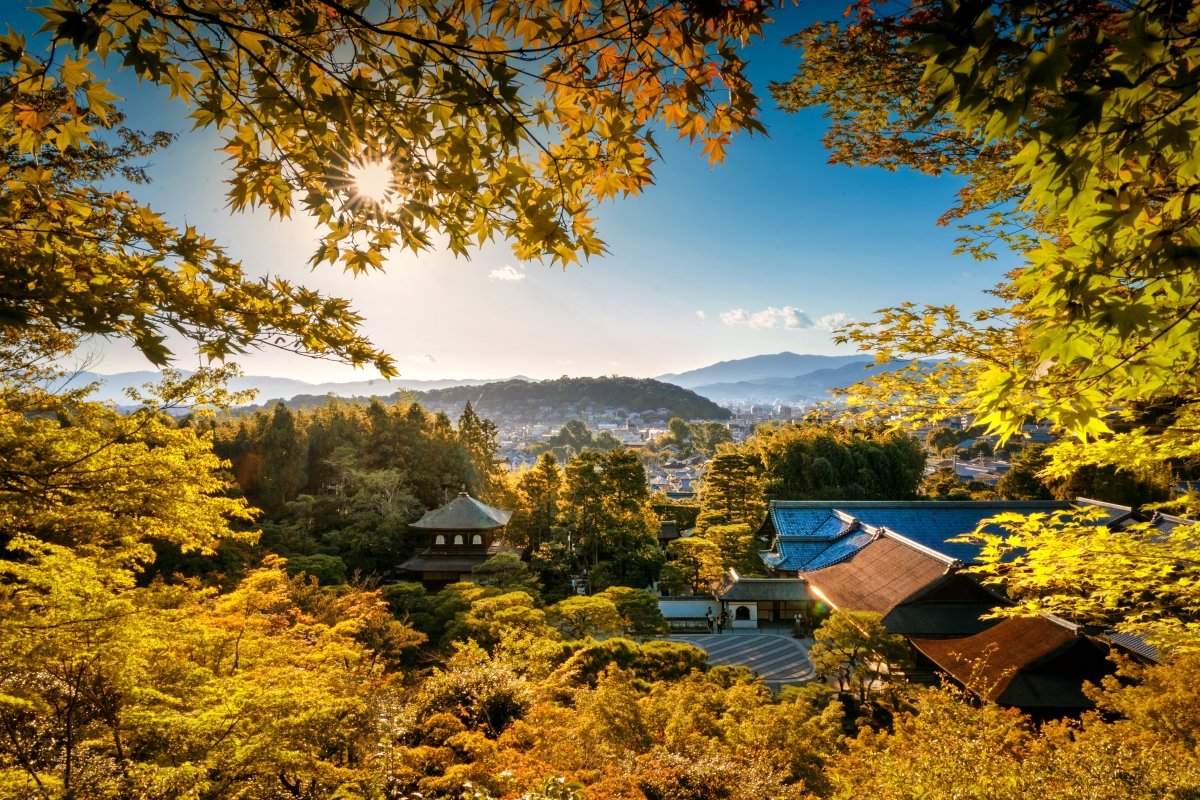 Autumn in Japan – The wanders